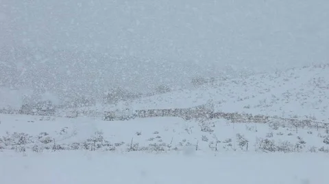 Snow Storm Stock Video Footage | Royalty Free Snow Storm Videos | Pond5