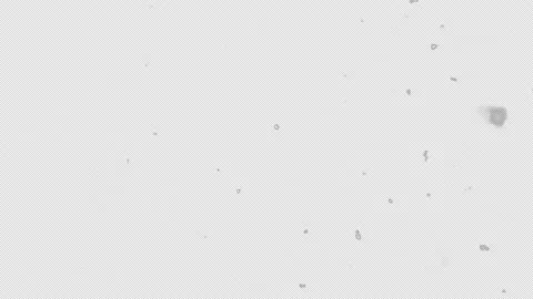 Snow blowing explosion isolated on alpha... | Stock Video | Pond5