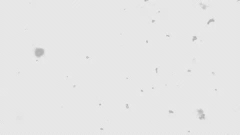 Snow blowing explosion isolated on alpha... | Stock Video | Pond5