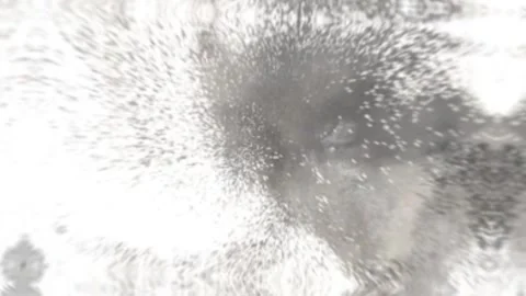 Snow blowing transition reveal on alpha ... | Stock Video | Pond5