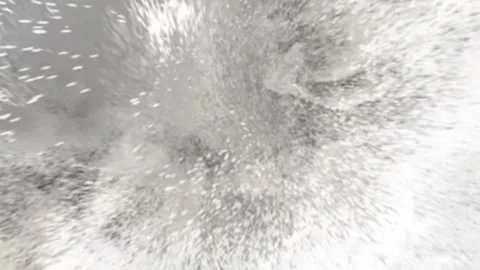 Snow blowing transition reveal on alpha ... | Stock Video | Pond5
