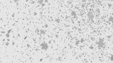 Transparent Sparkle Overlay Stock Videos – Royalty-Free HD & 4K Videos ...