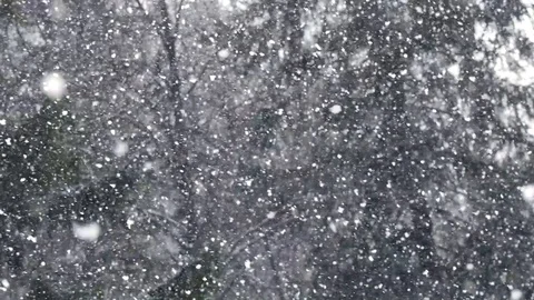 Snow falling background. Slow motion. Be... | Stock Video | Pond5