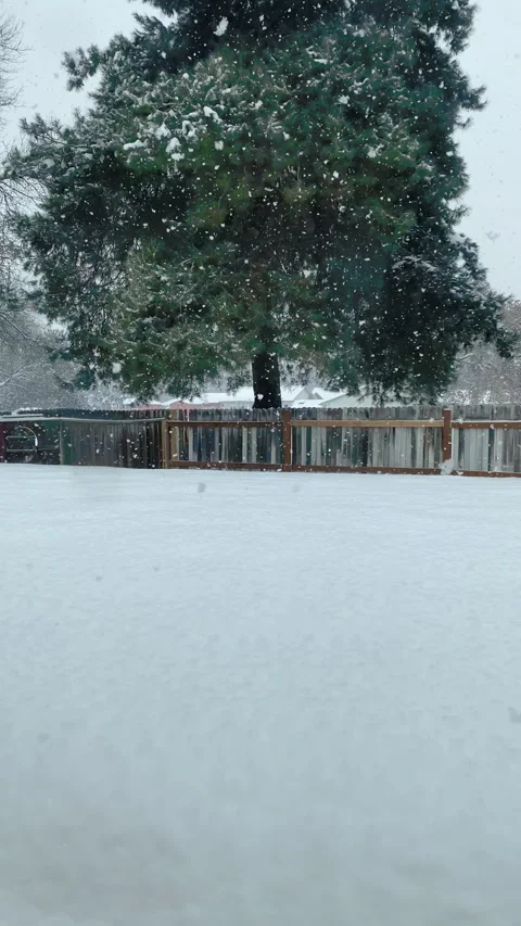 Snow falling in the backyard during snow... | Stock Video | Pond5