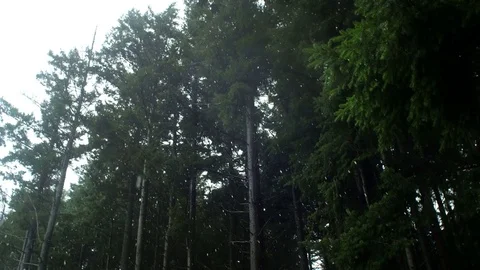 White Sky Down Stock Videos – Royalty-Free HD & 4K Videos | Pond5