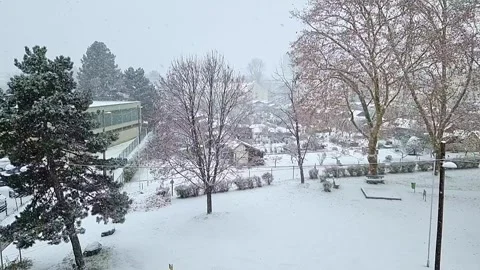 Winter Storm Walpaper Stock Videos – Royalty-Free HD & 4K Videos