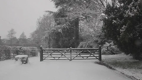 Snow falling in empty cold park | Stock Video | Pond5