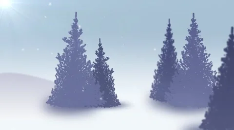 Fir Tree Realistic Stock Videos – Royalty-Free HD & 4K Videos | Pond5