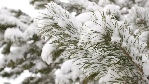 Falling Star Falls Stock Videos – Royalty-Free HD & 4K Videos | Pond5