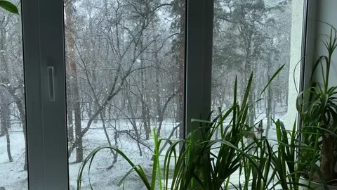 Snow Falling Outside Window Stock Videos – Royalty-Free HD & 4K Videos