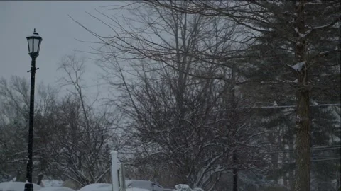 Snow falling outside winter trees street... | Stock Video | Pond5