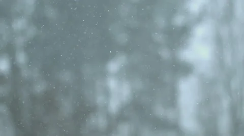 Speedx and Miro Stock Videos – Royalty-Free HD & 4K Videos