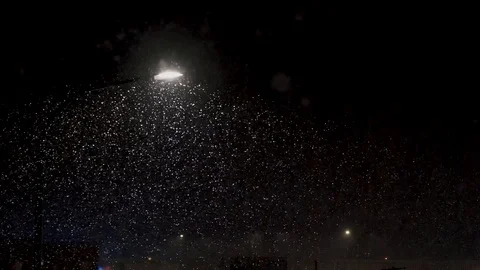 Snow falling in slow motion at 120 fps a... | Stock Video | Pond5