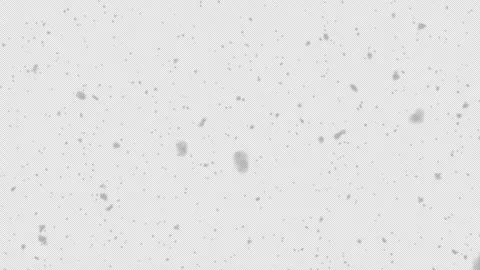 Things Flying Stock Video Footage | Royalty Free Things Flying Videos ...