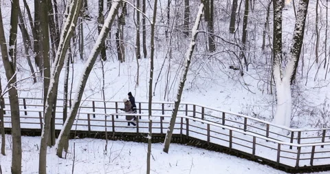 Snow in forest park trees roads pond | Stock Video | Pond5