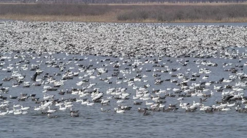 Snow Bluffs Stock Videos – Royalty-Free HD & 4K Videos | Pond5