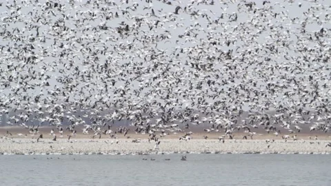 Snow Bluffs Stock Videos – Royalty-Free HD & 4K Videos | Pond5