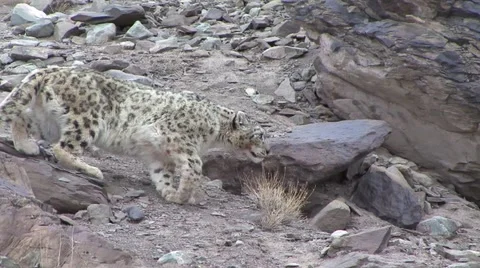 Up Down Around Stock Videos – Royalty-Free HD & 4K Videos