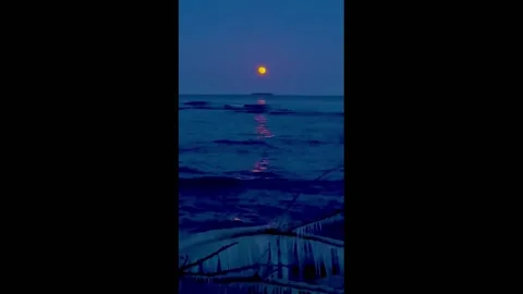 Snow Moon 2024: Smallest Full Moon Of Th... | Stock Video | Pond5