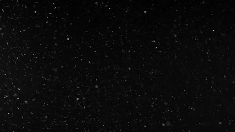 Snow particles floating in the air black... | Stock Video | Pond5