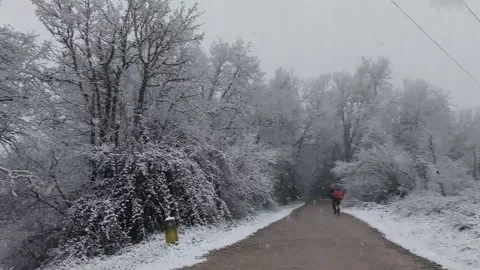 Returns 26 Stock Videos – Royalty-Free HD & 4K Videos