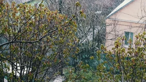 Snow in spring.Blizzard in the spring. S... | Stock Video | Pond5