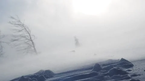 Snowsound Stock Video Footage | Royalty Free Snowsound Videos | Pond5