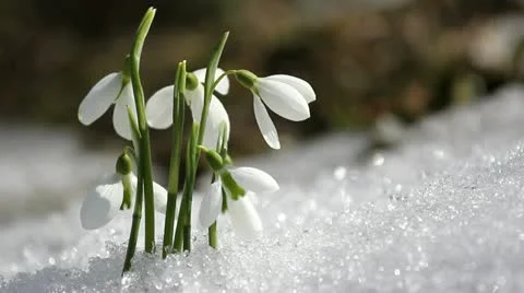 Ending 1 Wind Stock Videos – Royalty-Free HD & 4K Videos