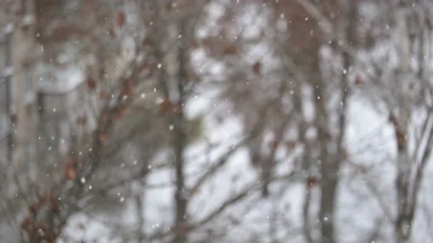 snowfall on the background of blurry tre... | Stock Video | Pond5