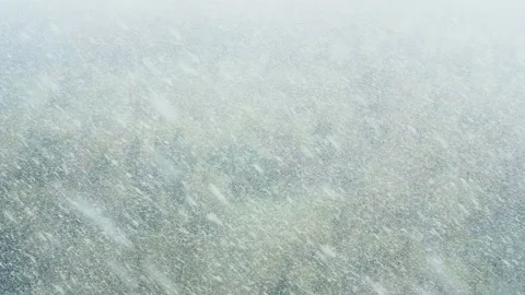 Snowfall over a summer park with green t... | Stock Video | Pond5