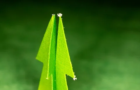 Christmas The Crystals Stock Videos – Royalty-Free HD & 4K Videos | Pond5