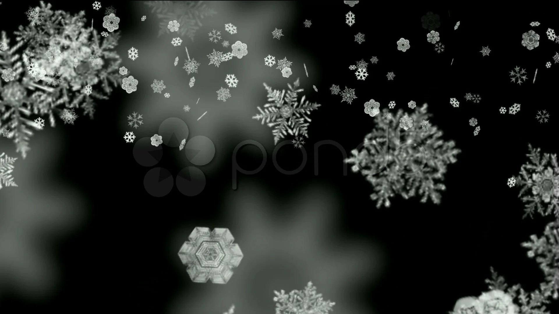 Fall Winter Backgrounds