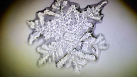 snowflake formation process under a micr... | Stock Video | Pond5