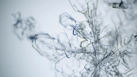 Snowflake ice crystal stellar dendrite u... | Stock Video | Pond5