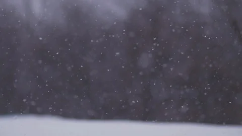 Snowflakes fall close up view, blurred b... | Stock Video | Pond5