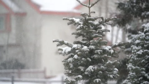 Falling S Stock Videos – Royalty-Free HD & 4K Videos | Pond5