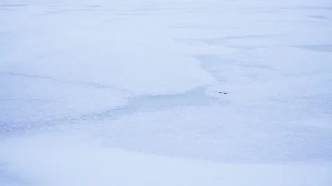 Frozen Frame Texture Stock Videos – Royalty-Free HD & 4K Videos