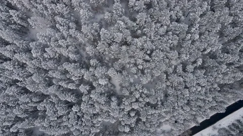 Snowy winter trees landscape, spinning a... | Stock Video | Pond5