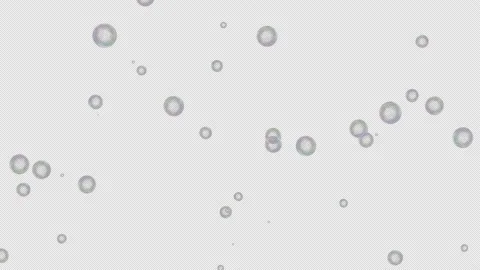 Soap Bubbles. Alpha Channel. Prores4444.... | Stock Video | Pond5