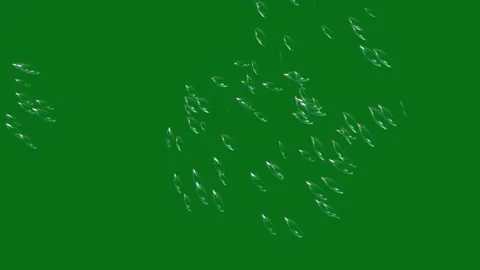 Soap Water Bubbles On Green Screen Backg... | Stock Video | Pond5