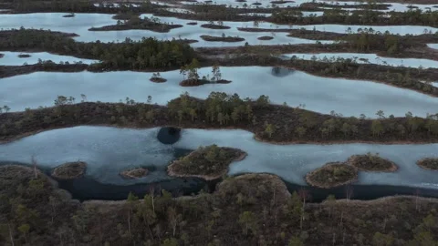 Soaring above a swamp, the drone capture... | Stock Video | Pond5
