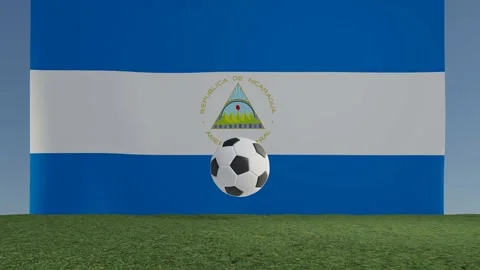 Soccer Football bouncing on grass hits v... | Stock Video | Pond5