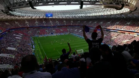 Soccer football fans waving flag at Fran... | Stock Video | Pond5