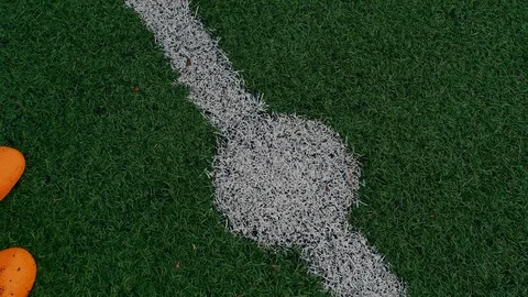 Hes Center Stock Videos – Royalty-Free HD & 4K Videos