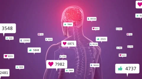 Media Human Stock Videos – Royalty-Free HD & 4K Videos | Pond5