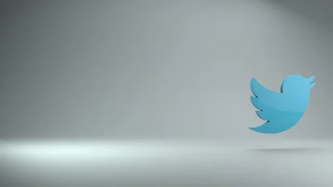 Bird Blue Logo Stock Videos – Royalty-Free HD & 4K Videos | Pond5