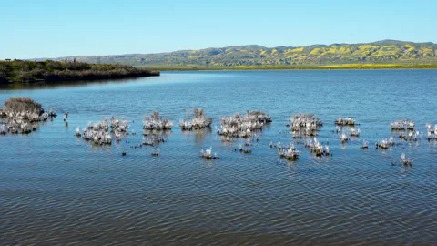 Soda Lake is the largest remaining natur... | Stock Video | Pond5