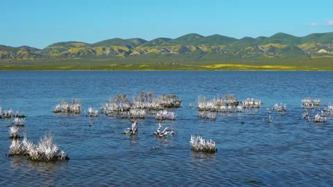 Soda Lake is the largest remaining natur... | Stock Video | Pond5