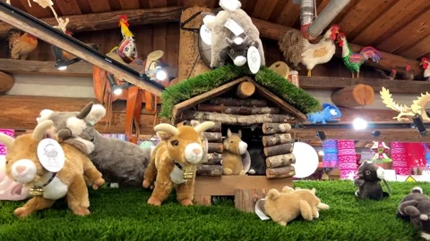 That Actually Stock Videos – Royalty-Free HD & 4K Videos | Pond5