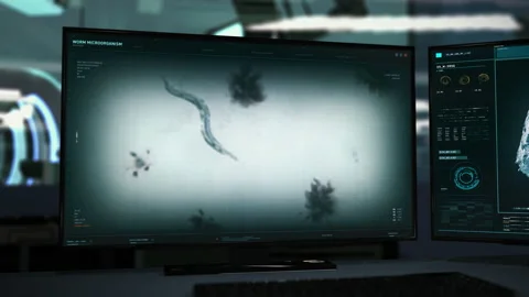 Software is studying the worm microorgan... | Stock Video | Pond5